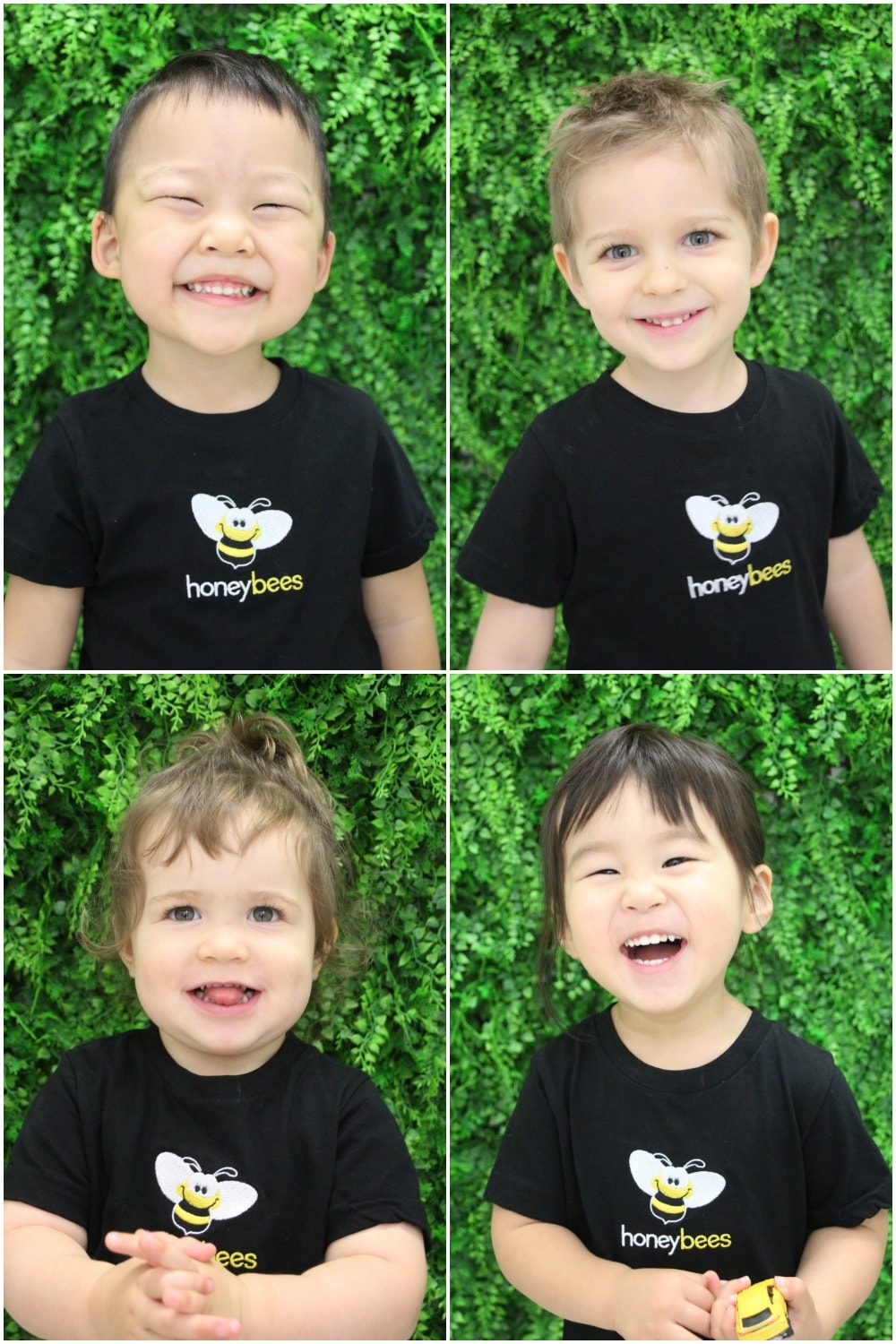 Welcome back!! | Honeybees